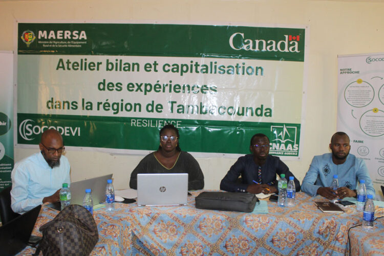 Tamba: Atelier bilan et capitalisation des expériences/SOCODEVI en ...